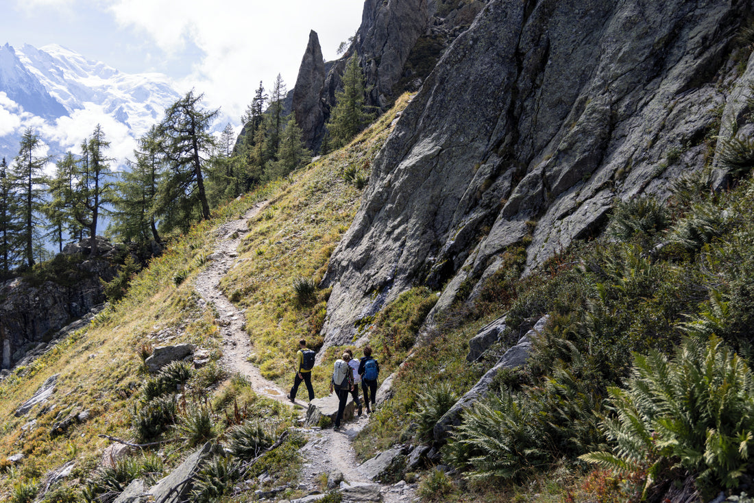 ARTILECT | Performance Clothing | Alive in the World | Artilect Performance